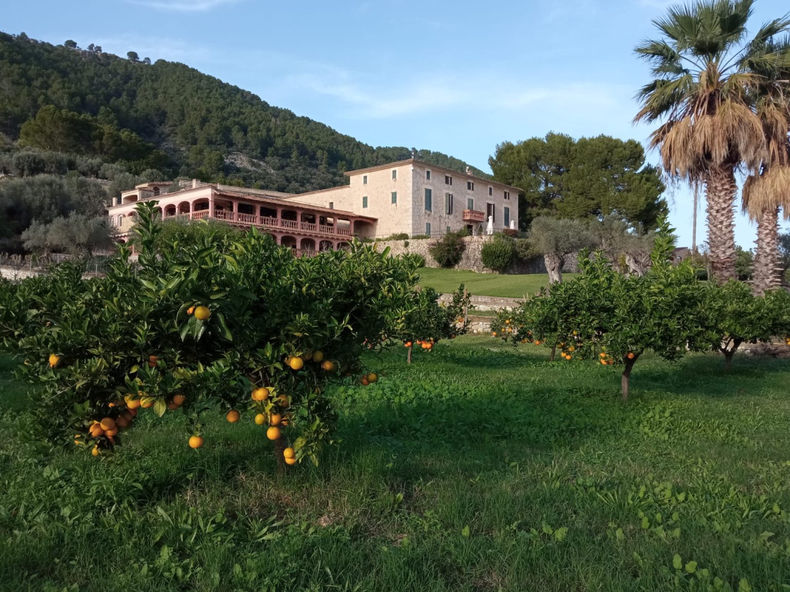 Team building: Formación y trabajo en equipo - Damavis Blog